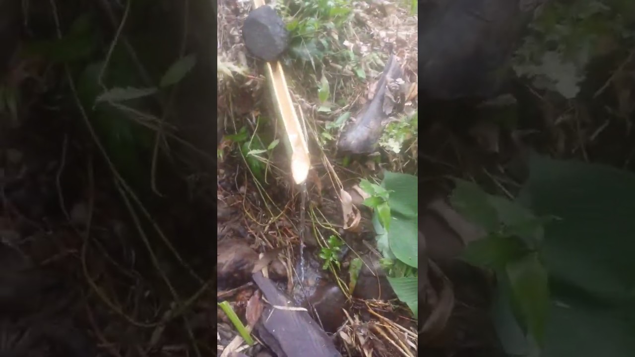 SPRING WATER |How i harvest and filter spring water by using indigenous ...