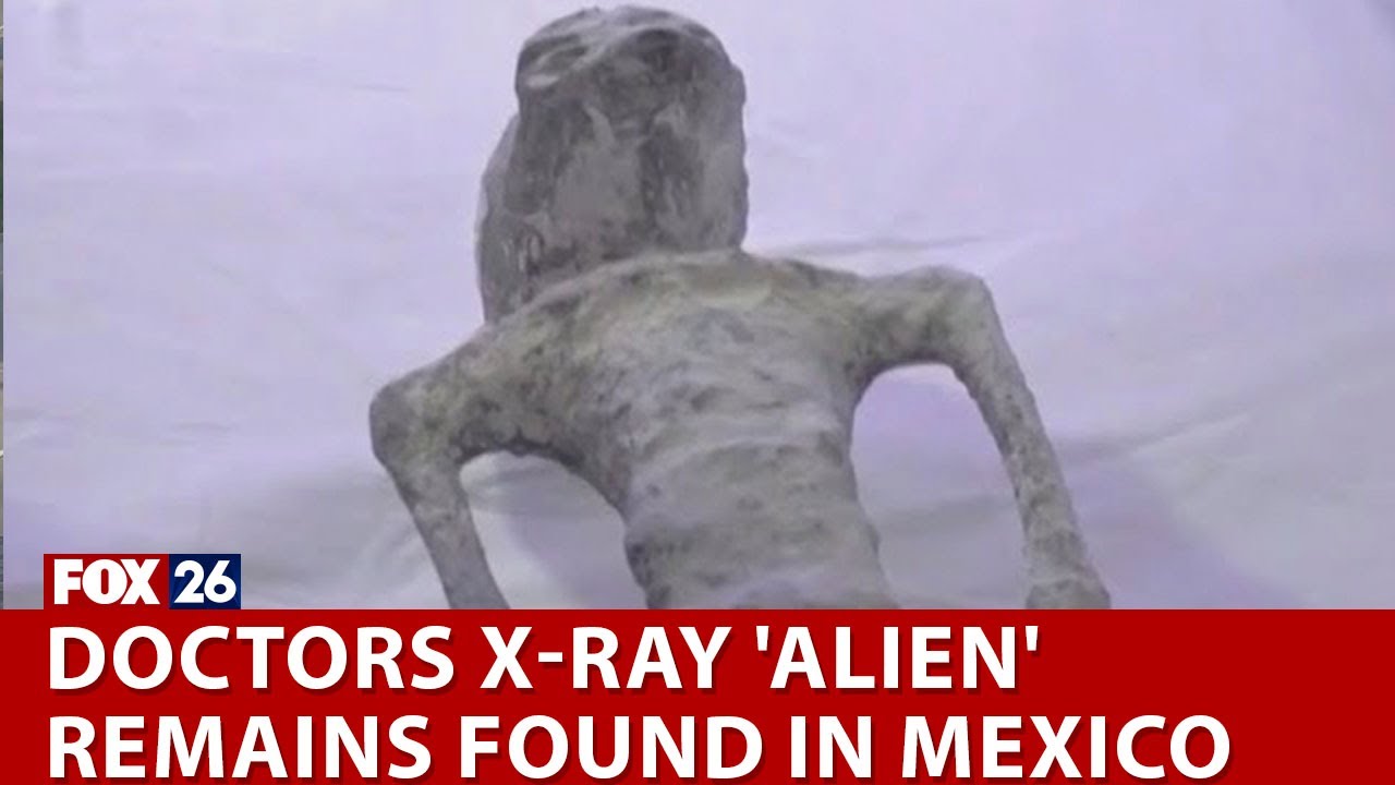 Doctors x-ray 'alien' remains found in Mexico - YouTube