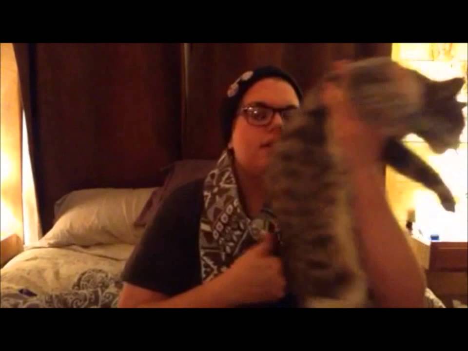 Double Trouble ~ Furry Friend Tag - YouTube