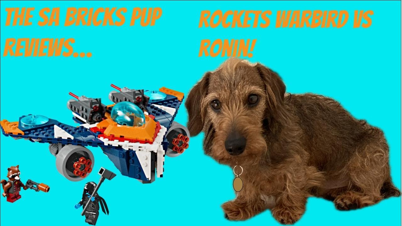 SA bricks pup 07 - YouTube