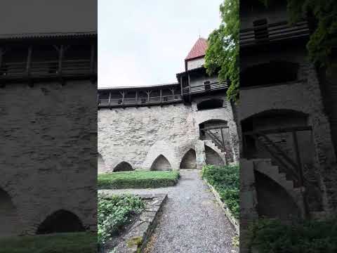 Estonya tallin kalesi casell