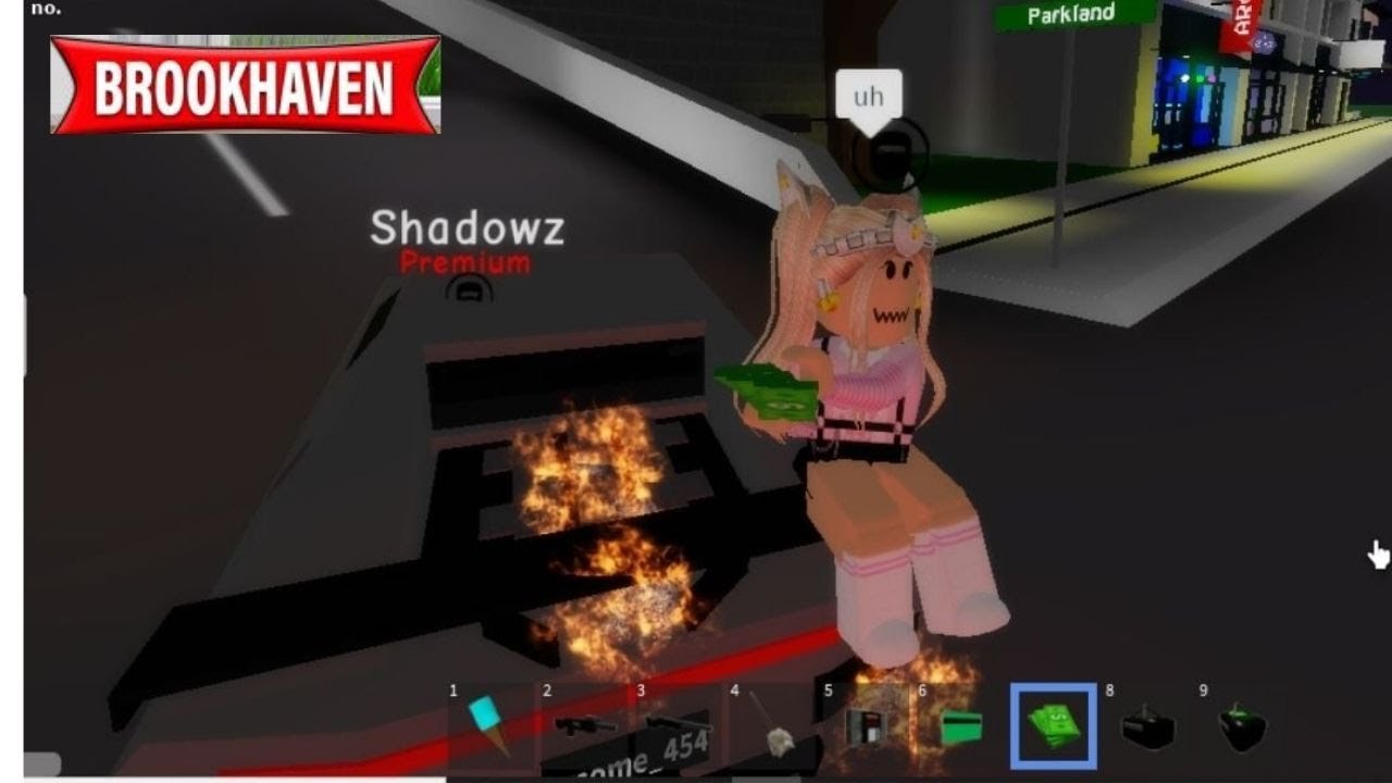 ROBBING THE BANK AT BROOKHAVEN || Crystal_summer1234 - YouTube