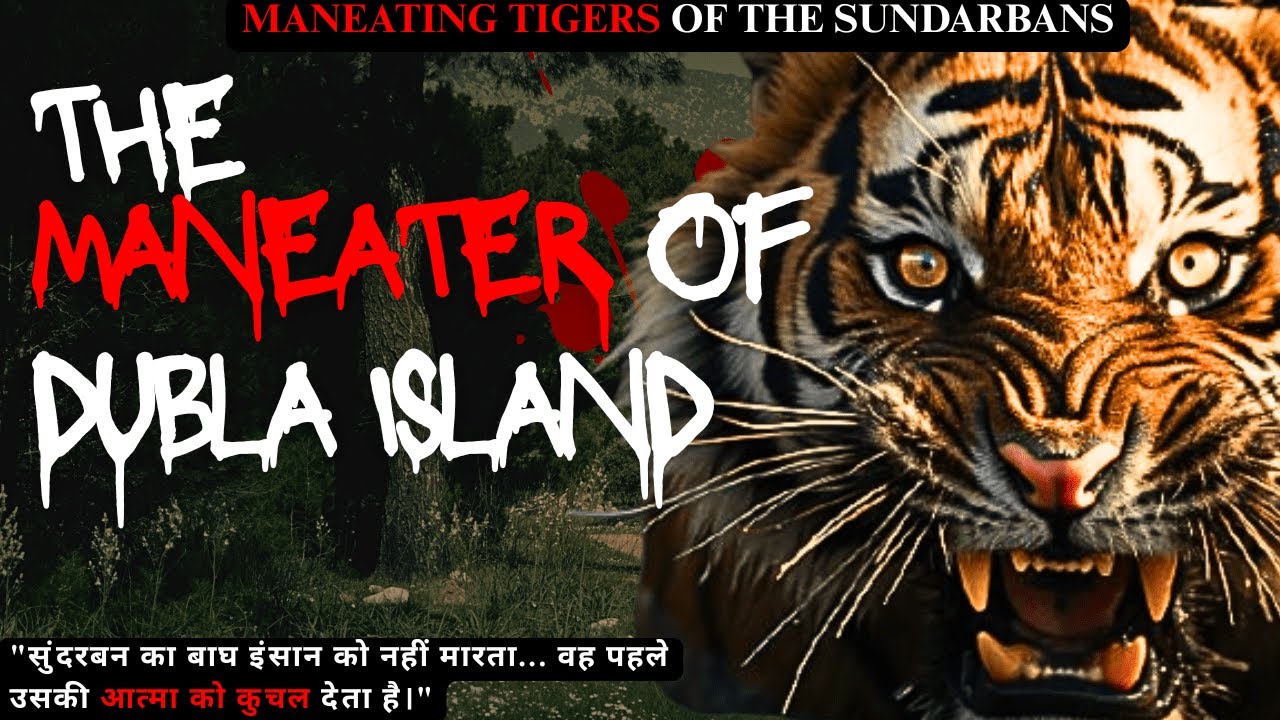 The ManEater Tiger Of Dubla Island: शिकारी बना शिकार! The ManEating ...
