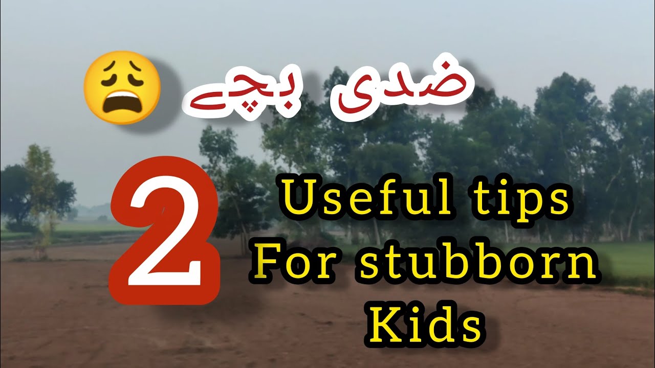 How to deal with a stubborn child/ some useful parenting tips - YouTube