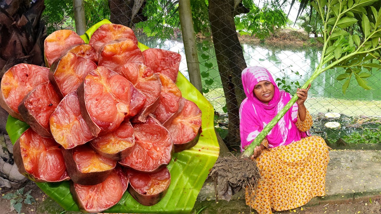 FARM FRESH Elephant Foot Tree Recipe Giant Elephant Yam Tree With Fish ...