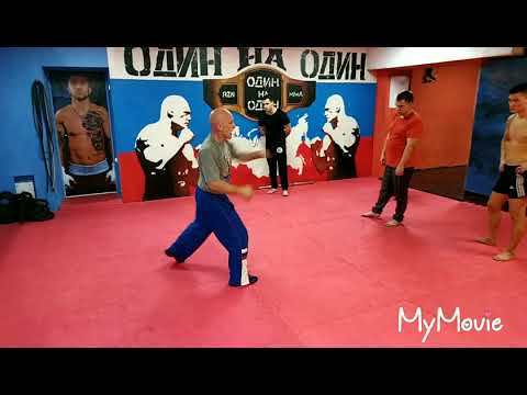 Упражнения для боевой практики  Ноги руки