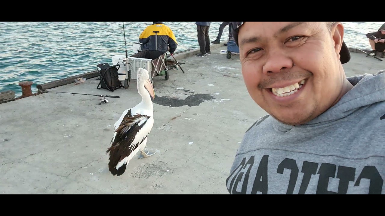 Extreme salt Fishing Bokya guys Ammo Jetty Woodman point 👉 - YouTube