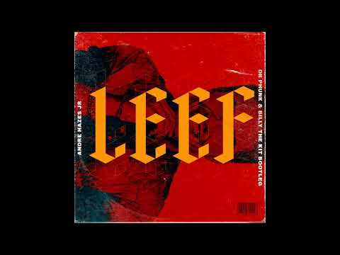 Andre Hazes Jr. - Leef (Dr Phunk & Billy The Kit Bootleg)