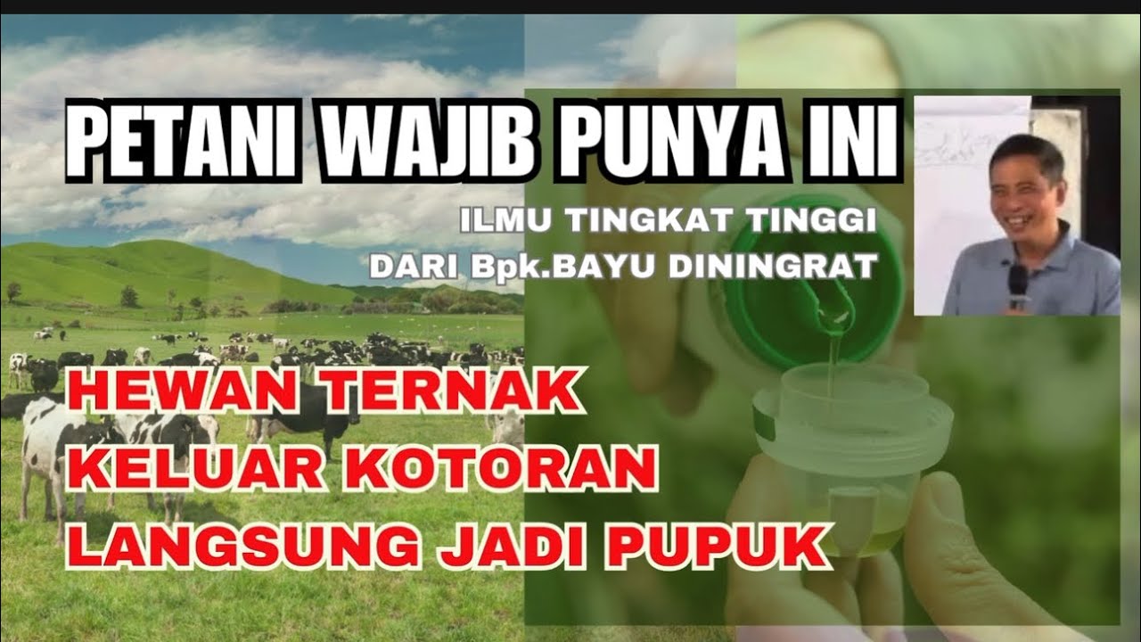 KATALIS BOOSTER BSM DARI TERNAK KELUAR PUPUK SIAP PAKAI #bayudiningrat ...