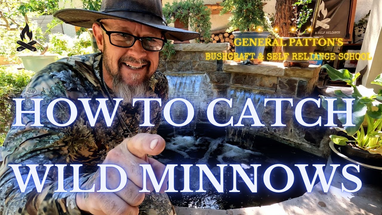 How To Catch Wild Minnows - Salt River Arizona - YouTube
