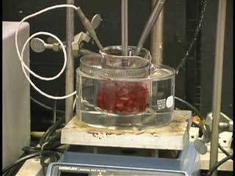 Sonication for Self-healing Capsules - YouTube