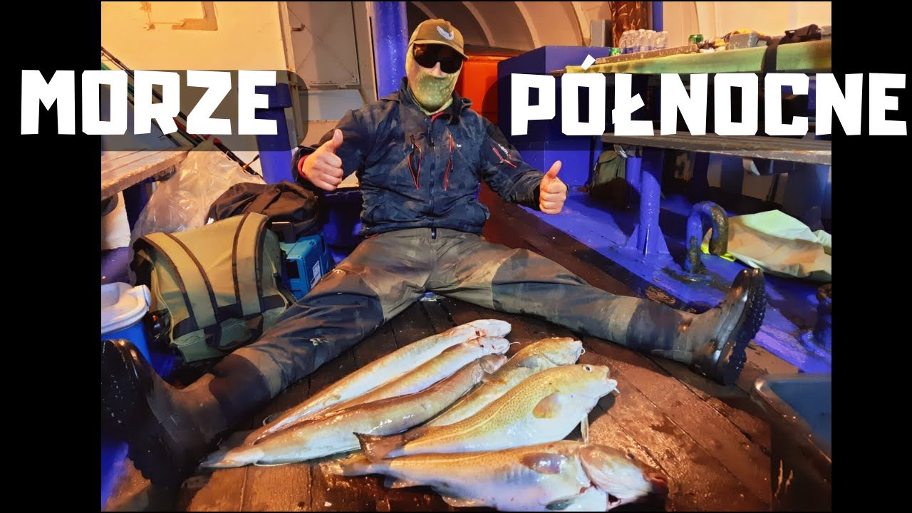 WYPRAWA NAD MORZE PÓŁNOCNE. DORSZ MOLWA CZARNIAK PLAMIAK RDZAWIEC Z ...