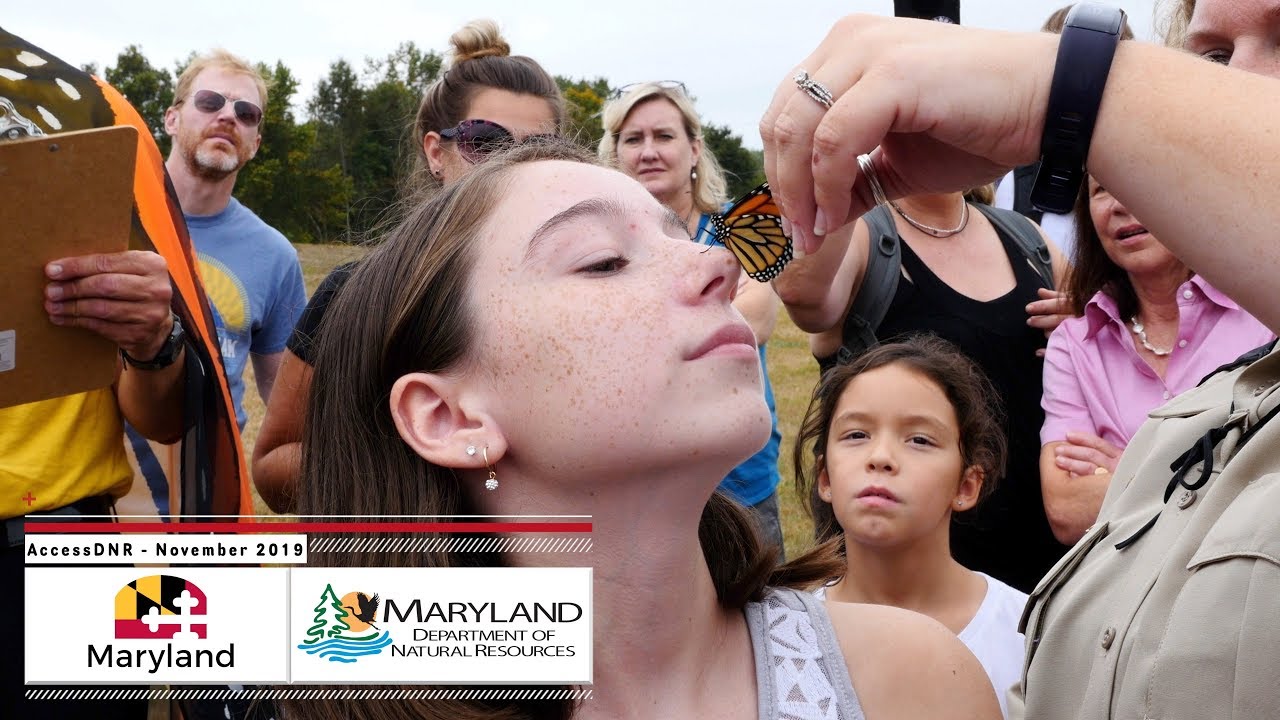 AccessDNR November 2019 - Maryland Department of Natural Resources ...