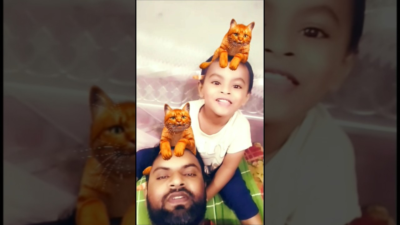 Cat 🐱 Ye billi ye dekh mayra 🙀😽😼 funny video #shorts #funny #cat - YouTube