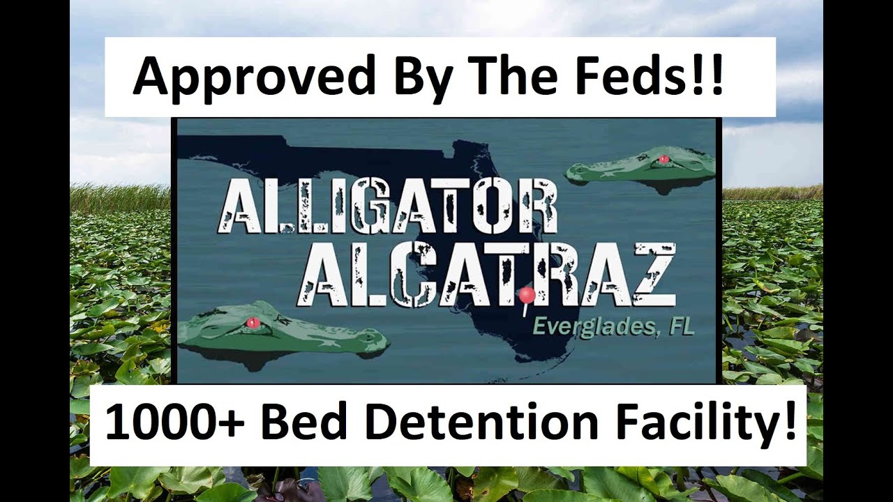 Alligator Alcatraz!! New 1000+ Bed Detention Facility In The Florida ...
