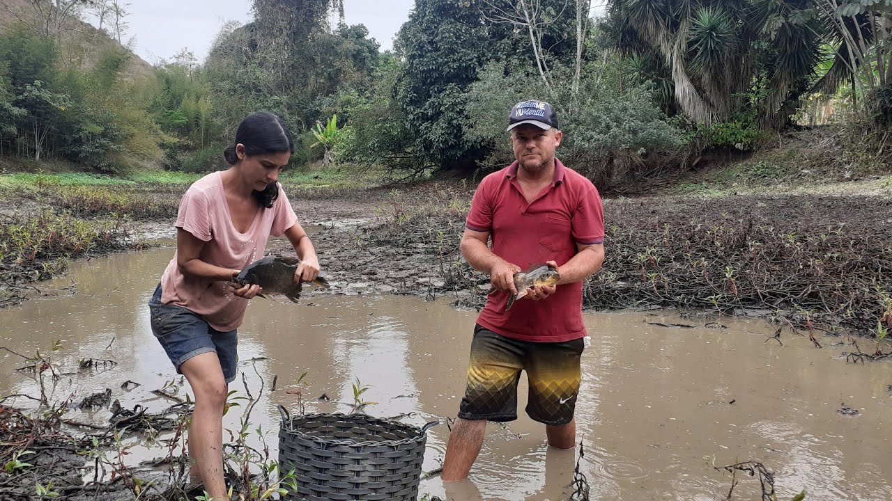 Nosso açude secou!! vamos fazer peixe curado - YouTube