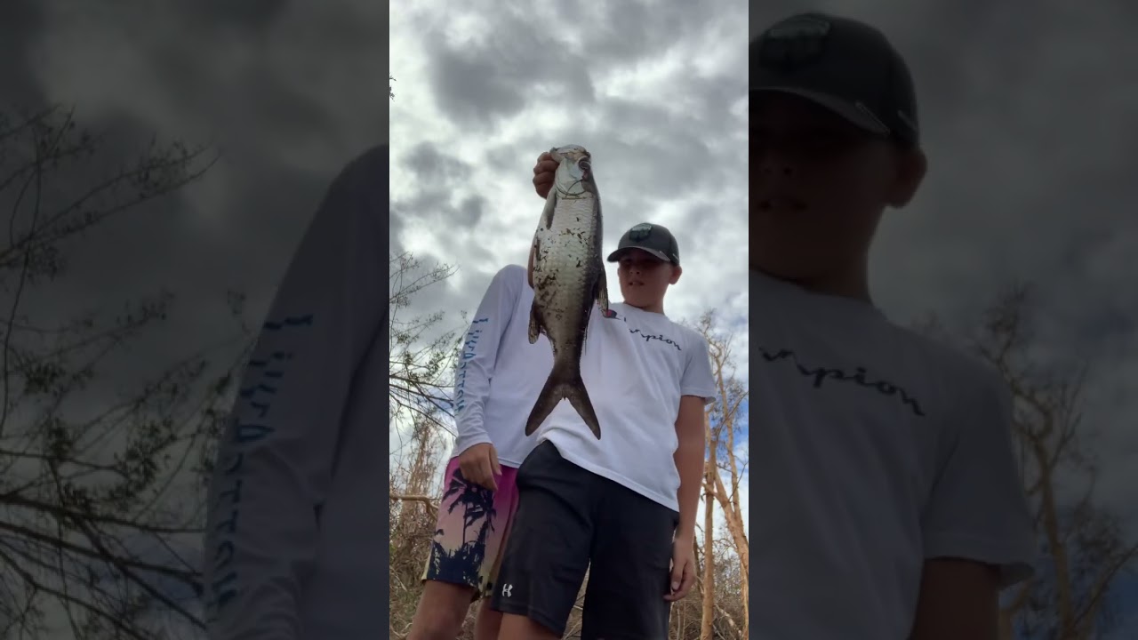 Giant fish with @FL Dude go drop a sub!! - YouTube