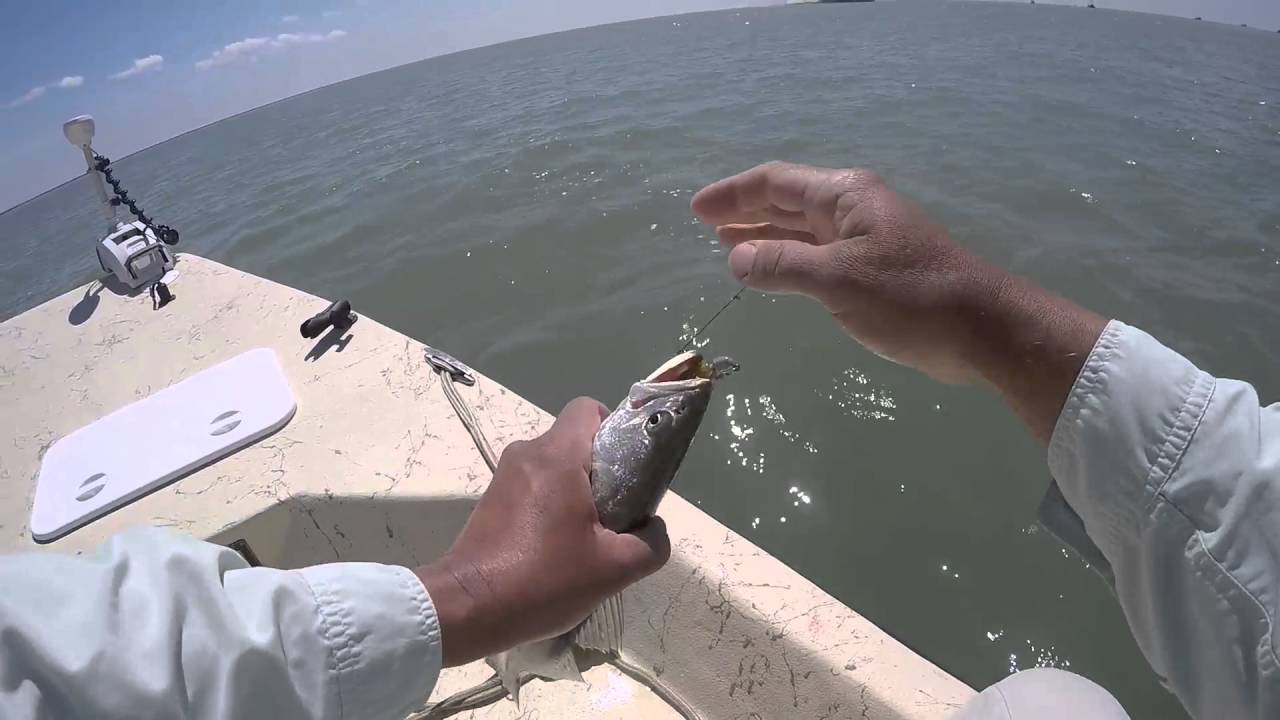 Fishing with Rob in POC - YouTube