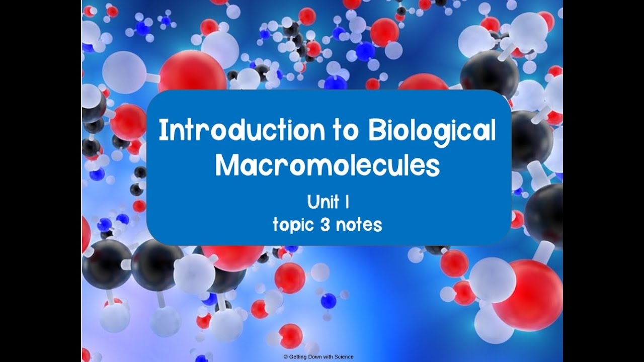 1.2 and 1.3 Elements of Life and Intro to Macromolecules - YouTube