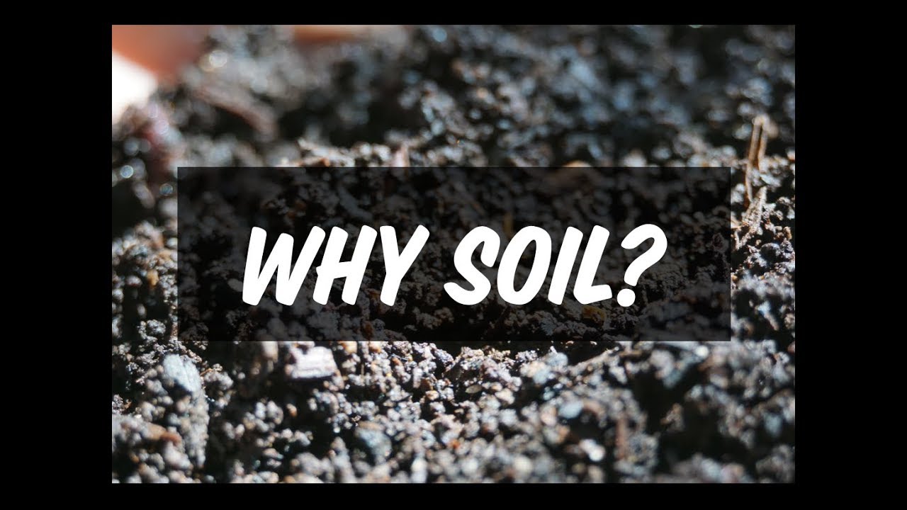 WHY SOIL? | Permaculture Soil Insights!! - YouTube