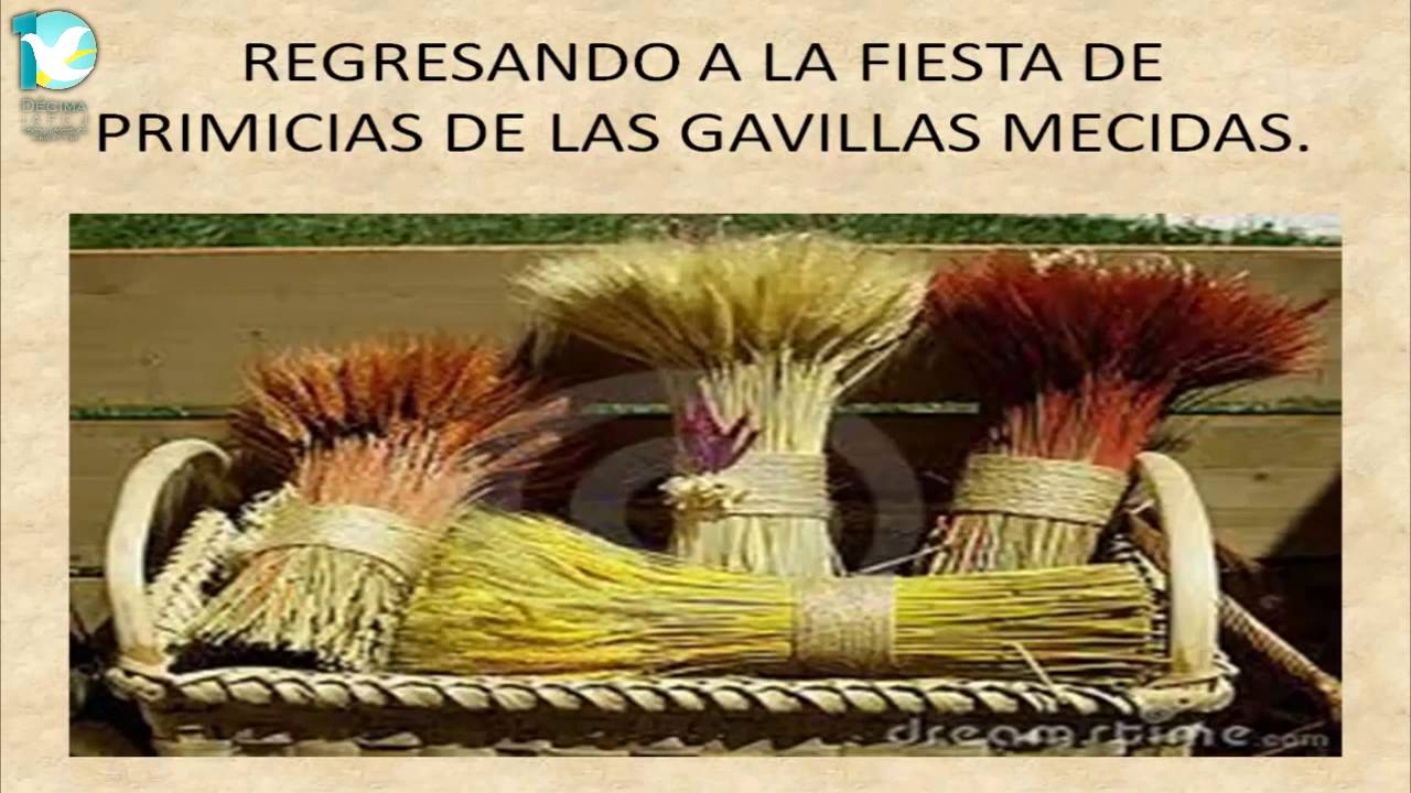 Tema: Regresando a la fiesta de primicias de las gavillas mecidas ...