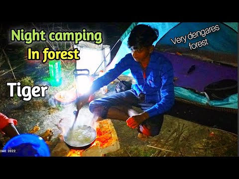 Night Camping In Forest + Tiger 😱ll Camping In india ll Camping In ...