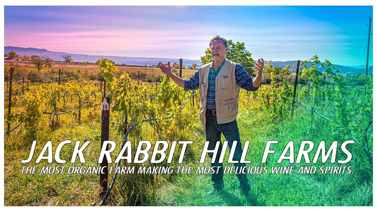 Jack Rabbit Hill Farms: The Next Level In Organic Wines - YouTube
