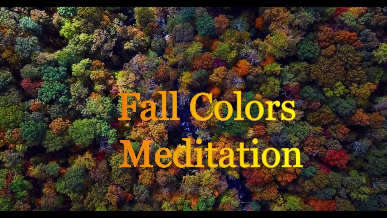 Fall Colors Meditation | Autumn Forest Scenes, Relaxing Music, Monday ...