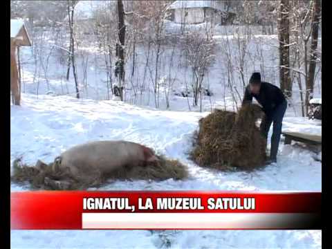 Ignatul la muzeul satului - YouTube