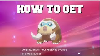 Mamoswine Pokemon Evolution