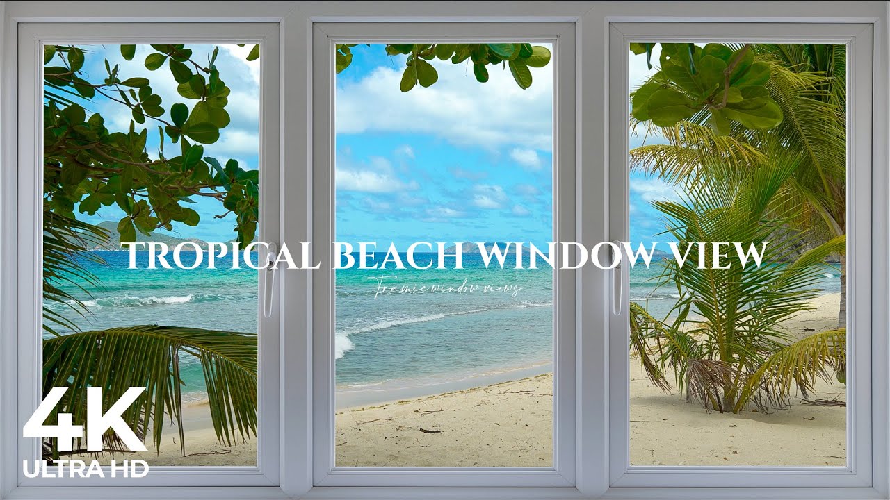 4K Tropical Beach window view in the Caribbean - Palm Trees, Ocean ...