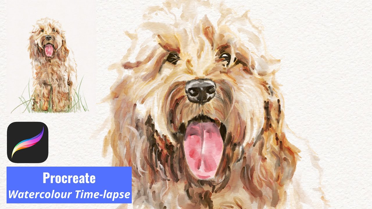 Cockapoo Watercolour Painting Time Lapse with Ipad / Procreate - YouTube