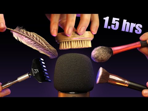 ASMR ULTIMATE MIC BRUSHING - Extra Tingly Brushing & Scratching 😴  [No Talking]