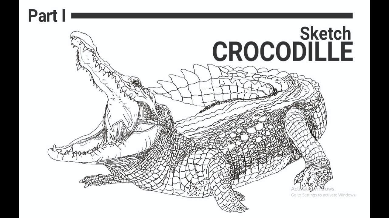 BELAJAR MENGGAMBAR BUAYA DI PHOTOSHOP; HOW TO DRAW CROCODILE (PART ONE ...