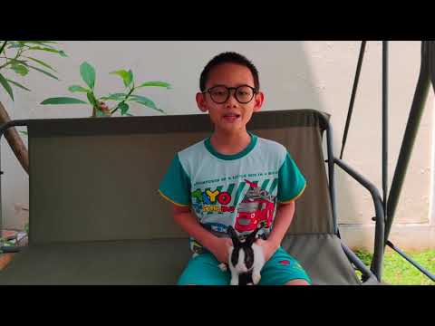 Project IPA SD Pahoa Kelas 4 "Kelinci" - YouTube