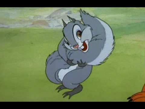 Cutest squirrel ever