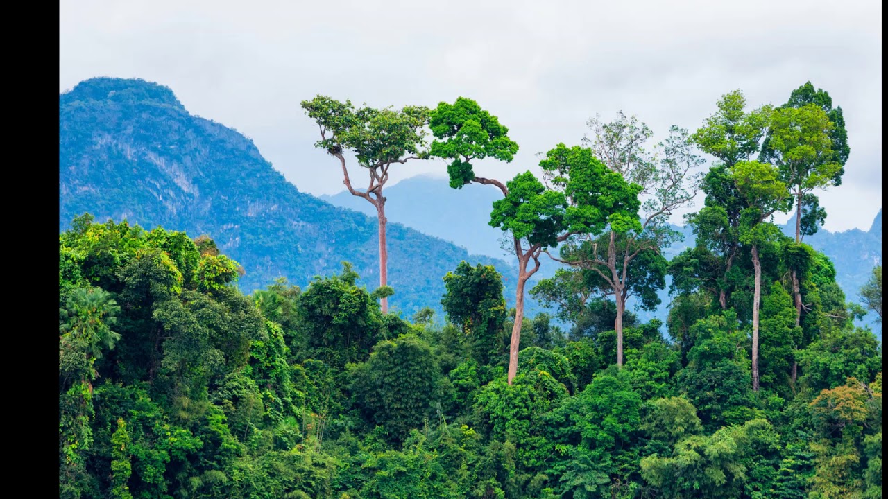 Anantha R. Krishnan and Mridangam Day 2 of 21 - YouTube