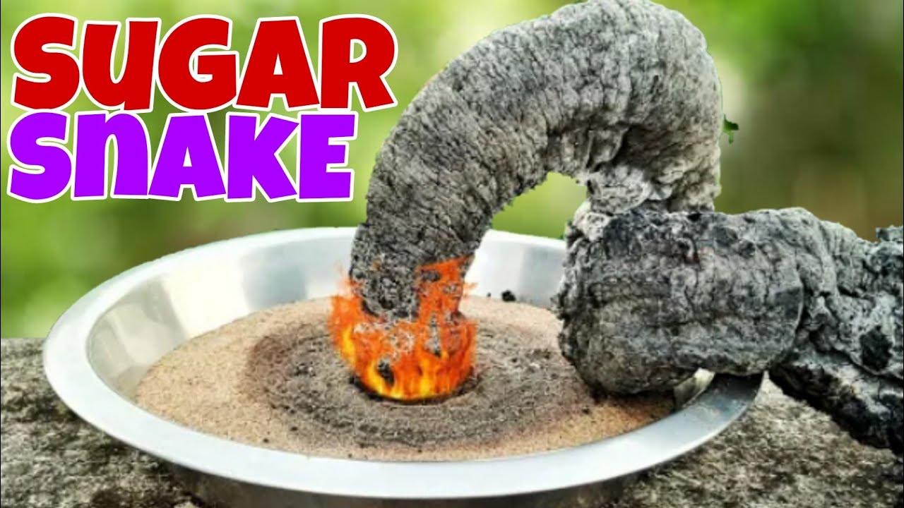 Amazing Science Experiment With Sugar || Black Fire Snake Experiment - YouTube
