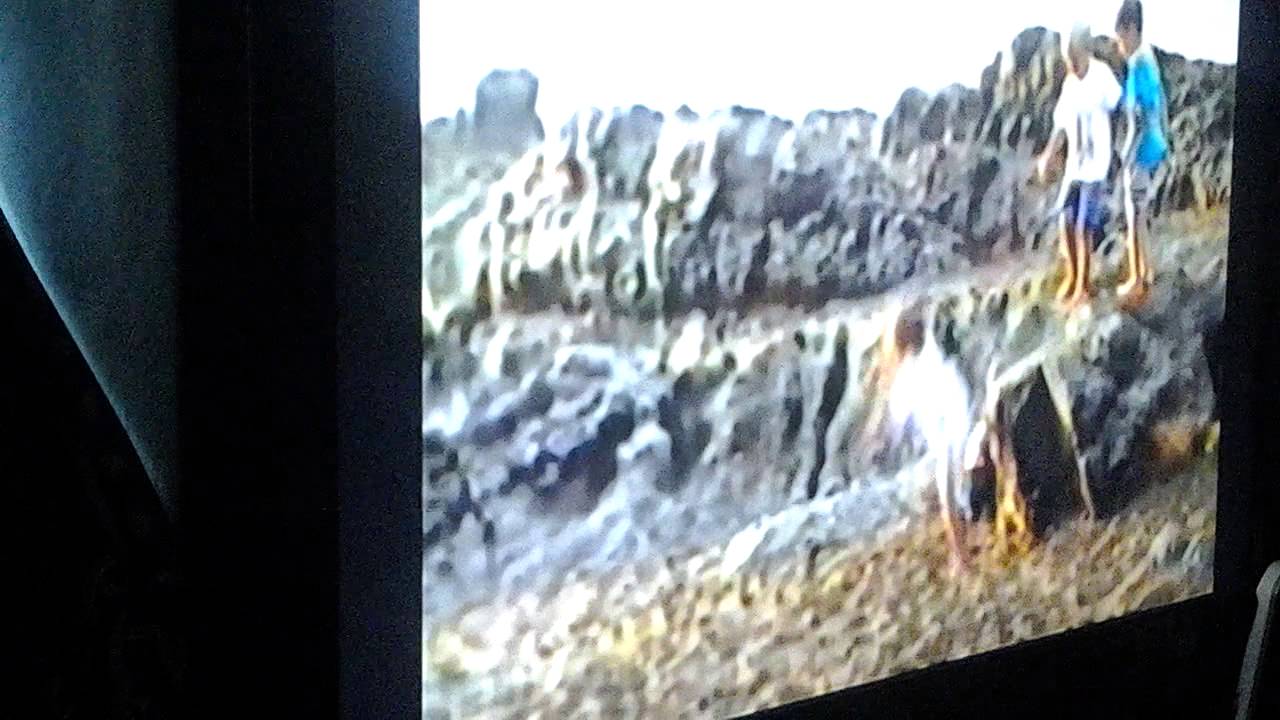 You've Been Framed Series 18 Episode 4 - YouTube