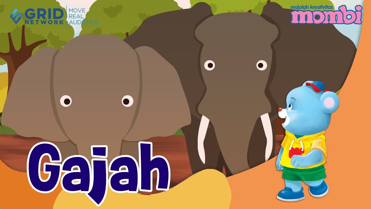 Belajar dan Mengenal Hewan Gajah - YouTube