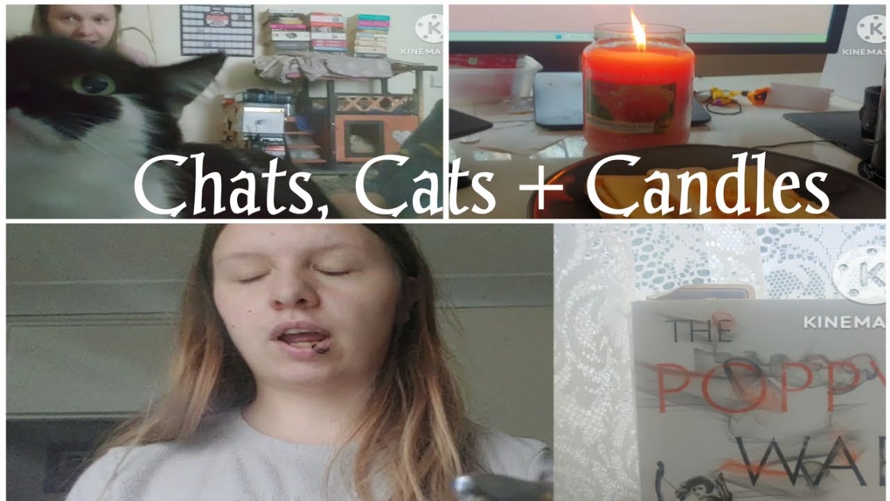 Shall we be productive? Chats, Cats and a new candle 🕯 - YouTube