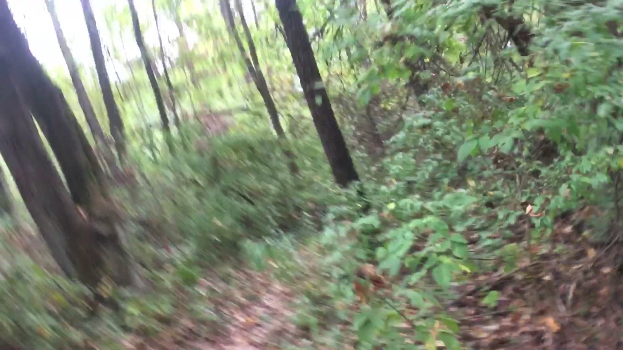 LOUD FOOTSTEPS HEARD IN THE WOODS - YouTube
