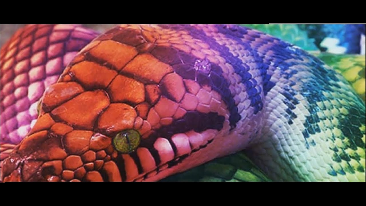 YACUMAMA: LA SERPIENTE GIGANTE Y LA TRIBU CANIBAL DE LA NIEBLA - YouTube