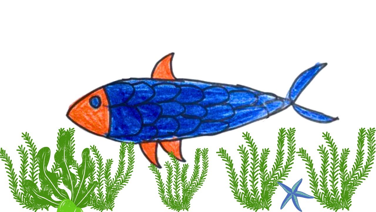 LET'S DRAW FISH ART FOR KIDS! HOW TO DRAW FISH! BEGINNER FISH DRAWING ...