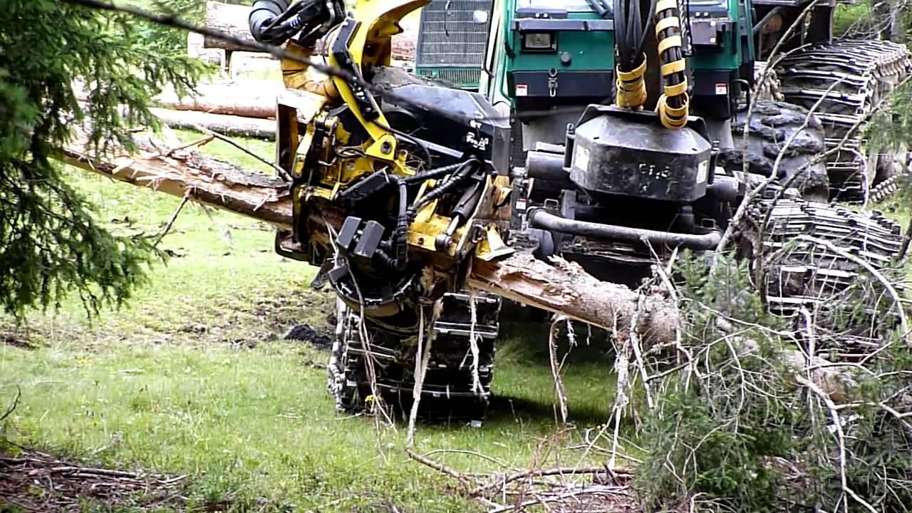 Timberjack 1470D Wheeled Harvester in action - YouTube