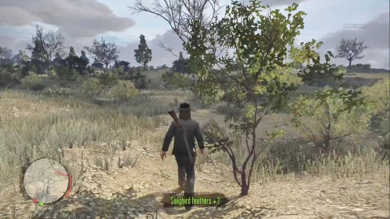 Songbird Location Rio Bravo - Red Dead Redemption - YouTube