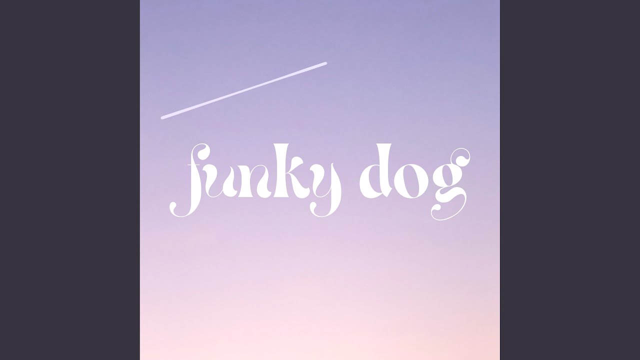 funky dog - YouTube
