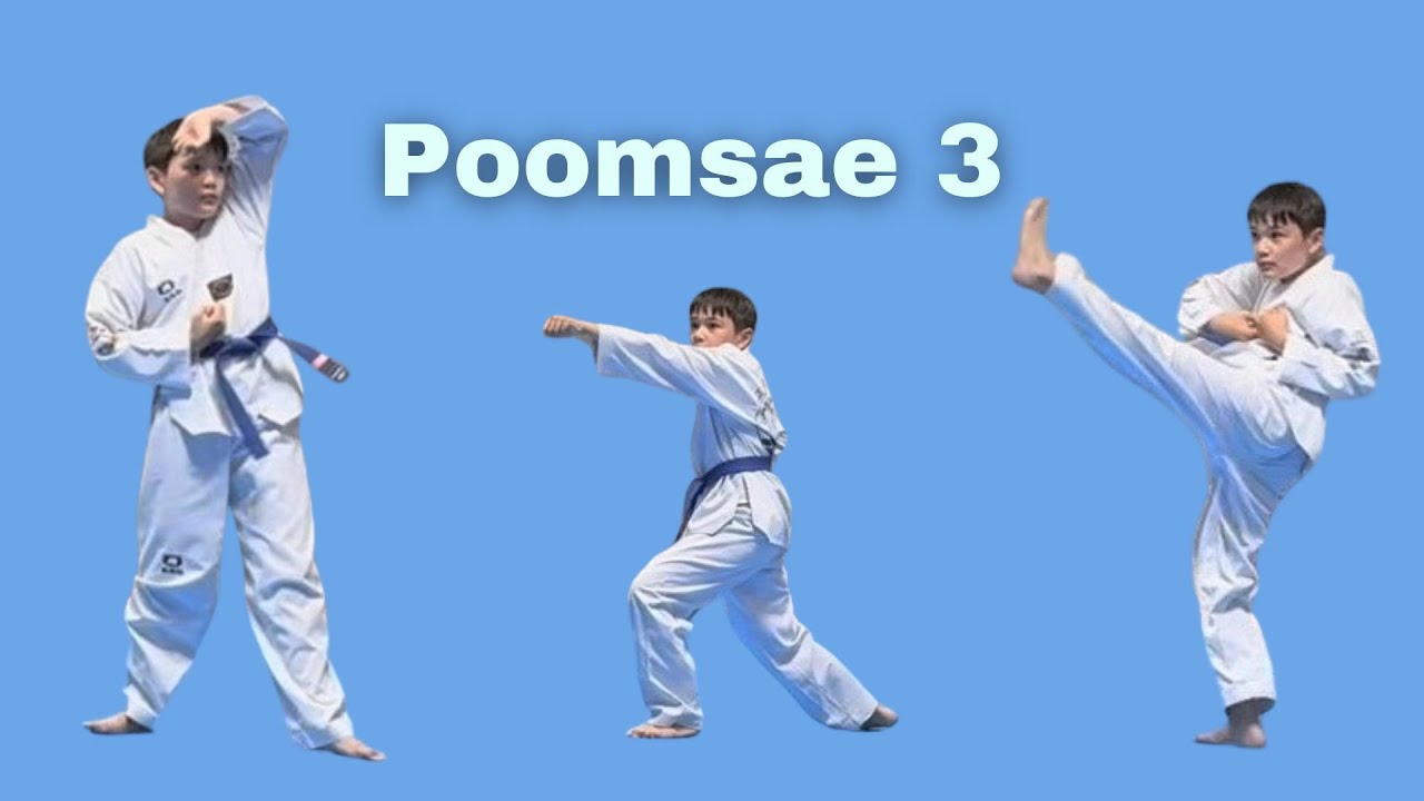 I learned taekwondo’s poomsae 3 | #taekwondo #poomsae - YouTube