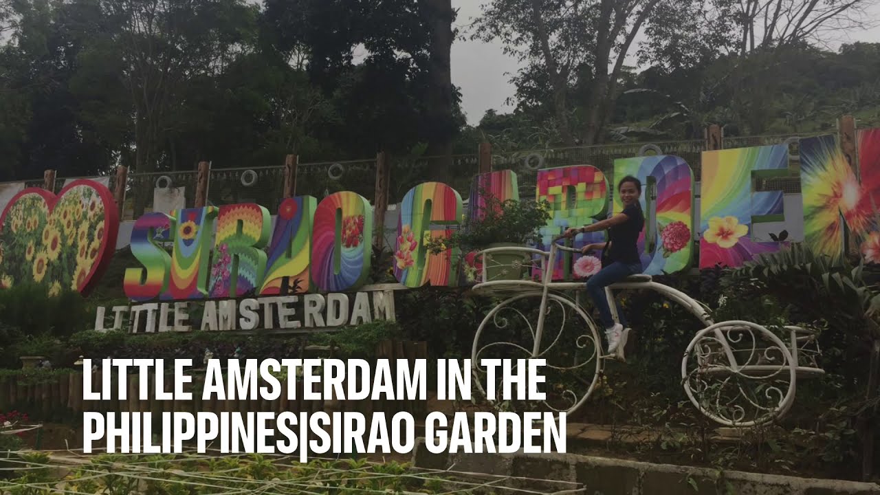 Little Amsterdam in the Philippines | Sirao Garden Cebu - YouTube