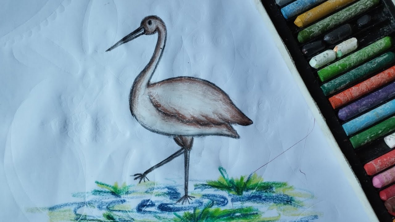 বক পাখি drawing/Easy buck bird drawing step by step/how to draw buck ...